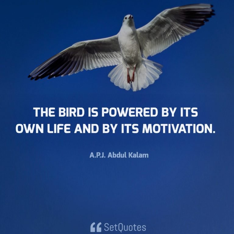 The bird is powered by its own life and by its motivation. APJ Abdul Kalam