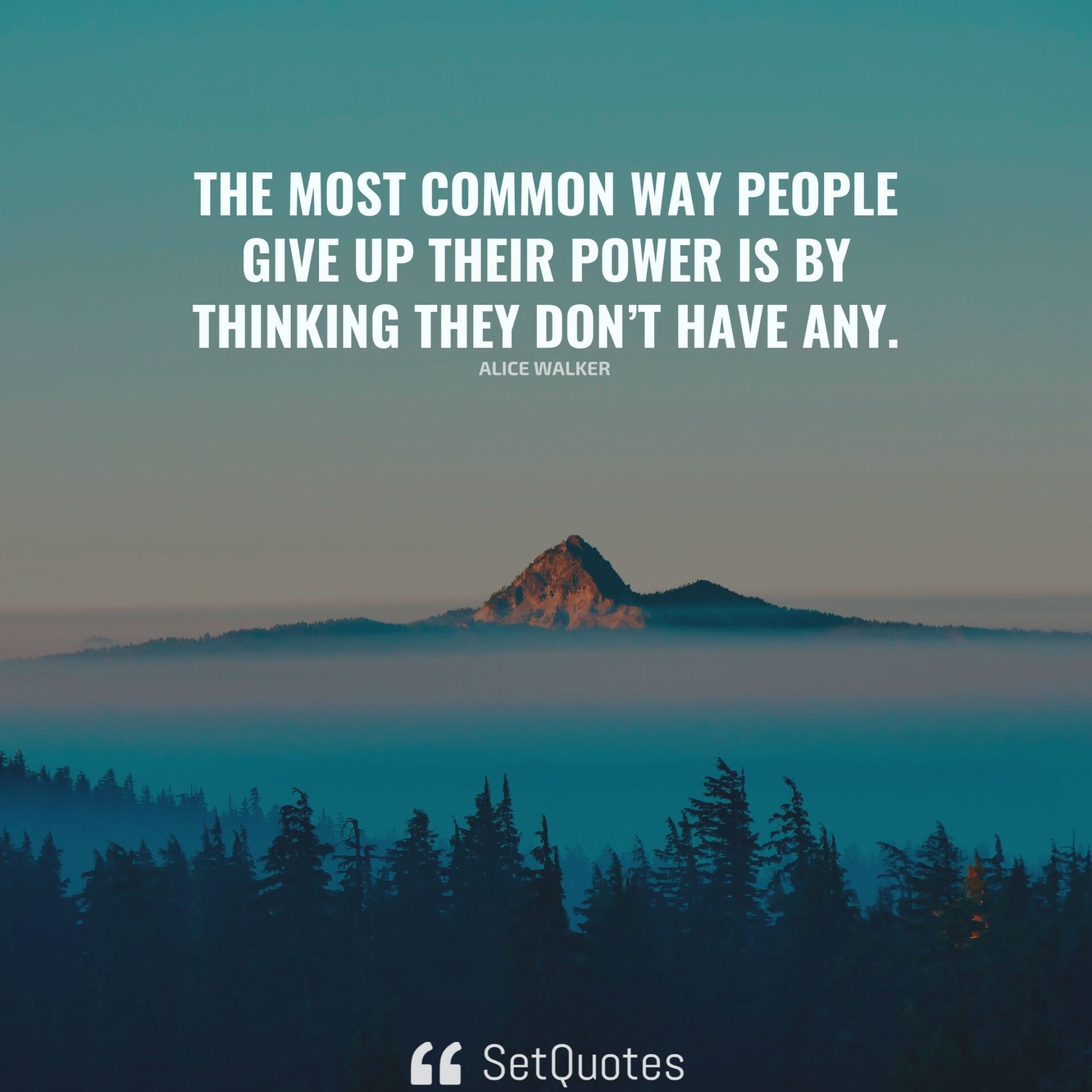 The most common way people give up their power is by thinking they don ...