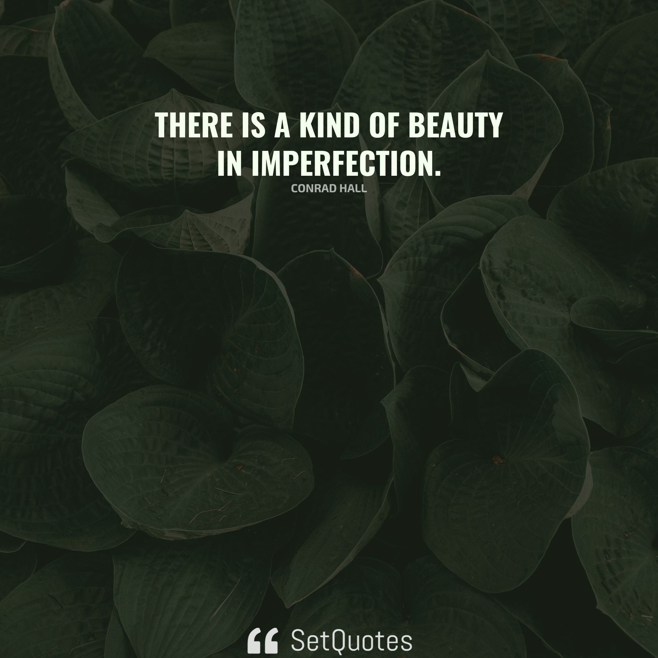 101 Inspiring Quotes on Inner Beauty. [Picture Quotes]