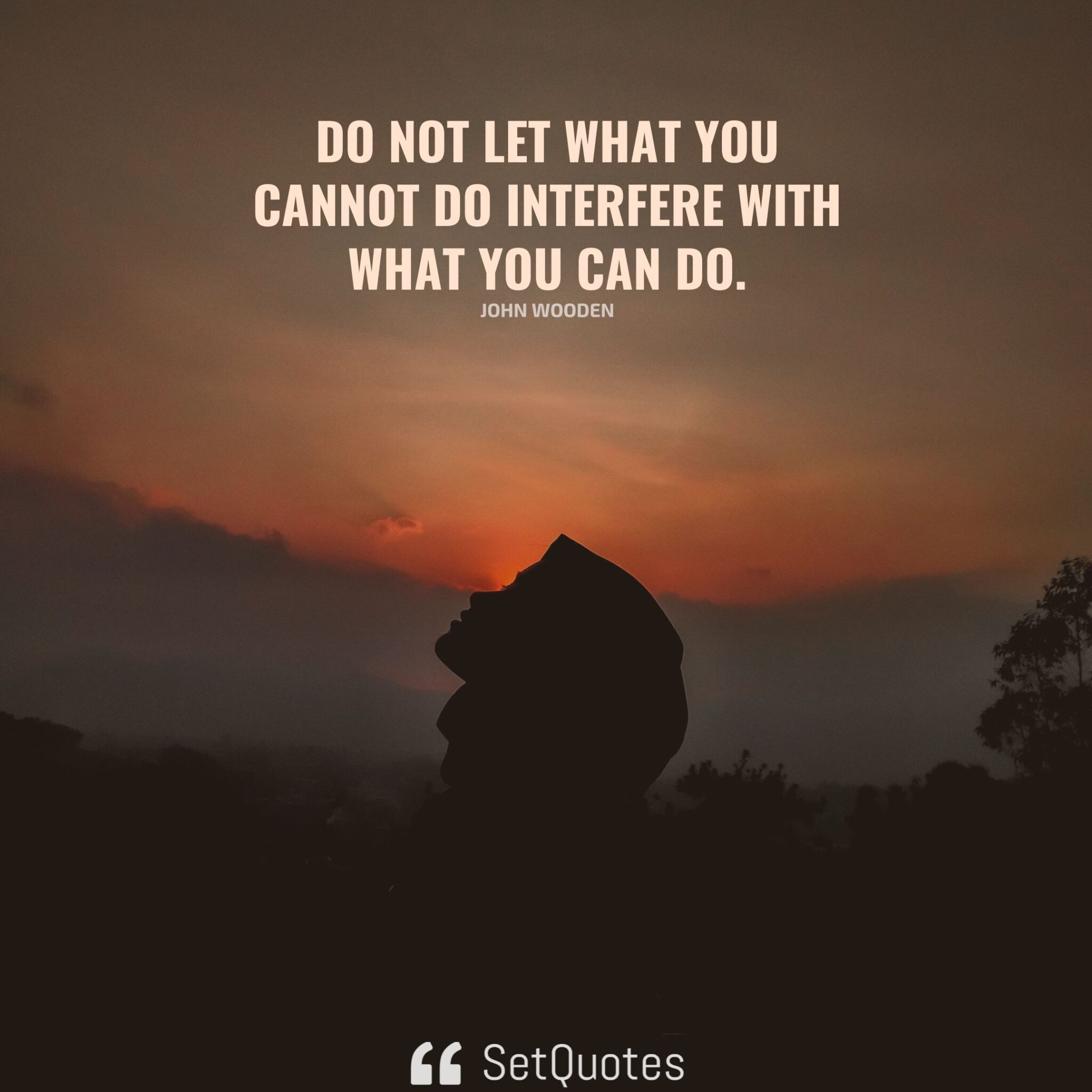 Do not let what you cannot do interfere with what you can do.