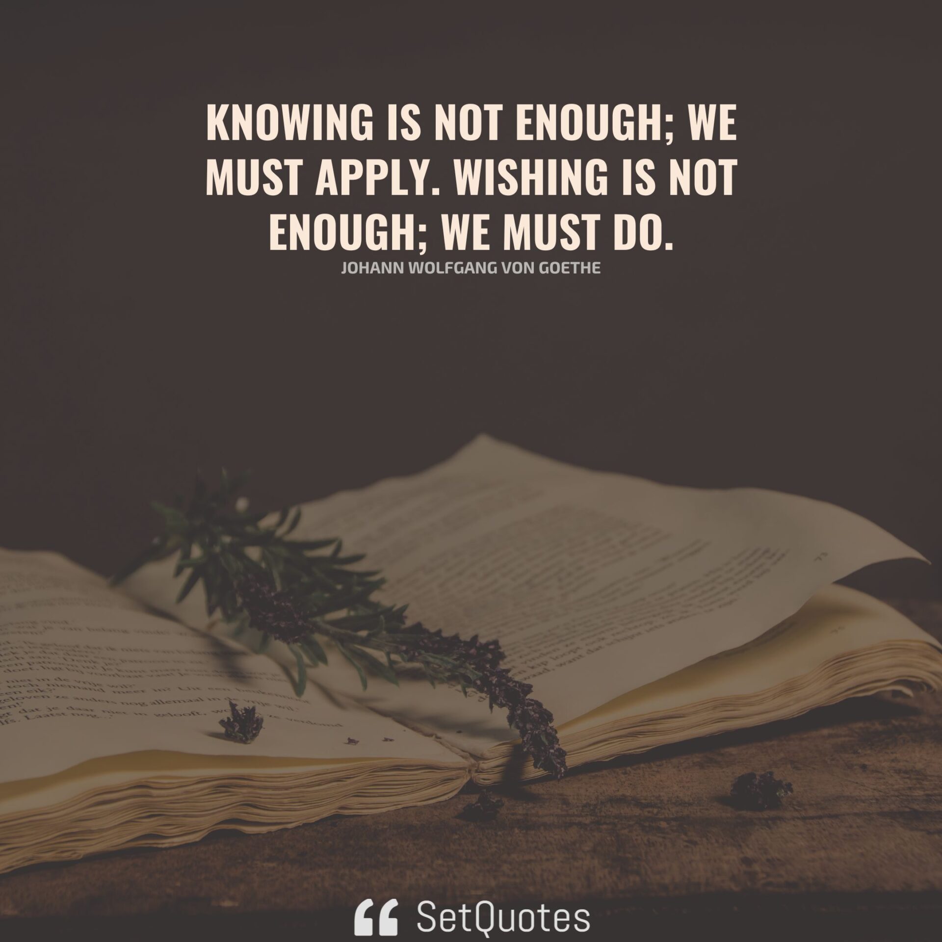 Knowing is not enough; we must apply. Wishing is not enough; we must do.