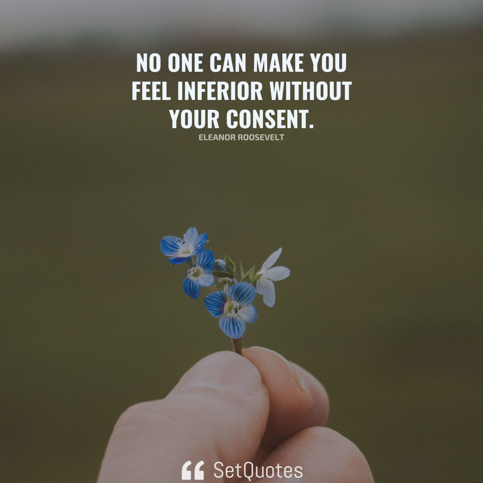 No one can make you feel inferior without your consent.