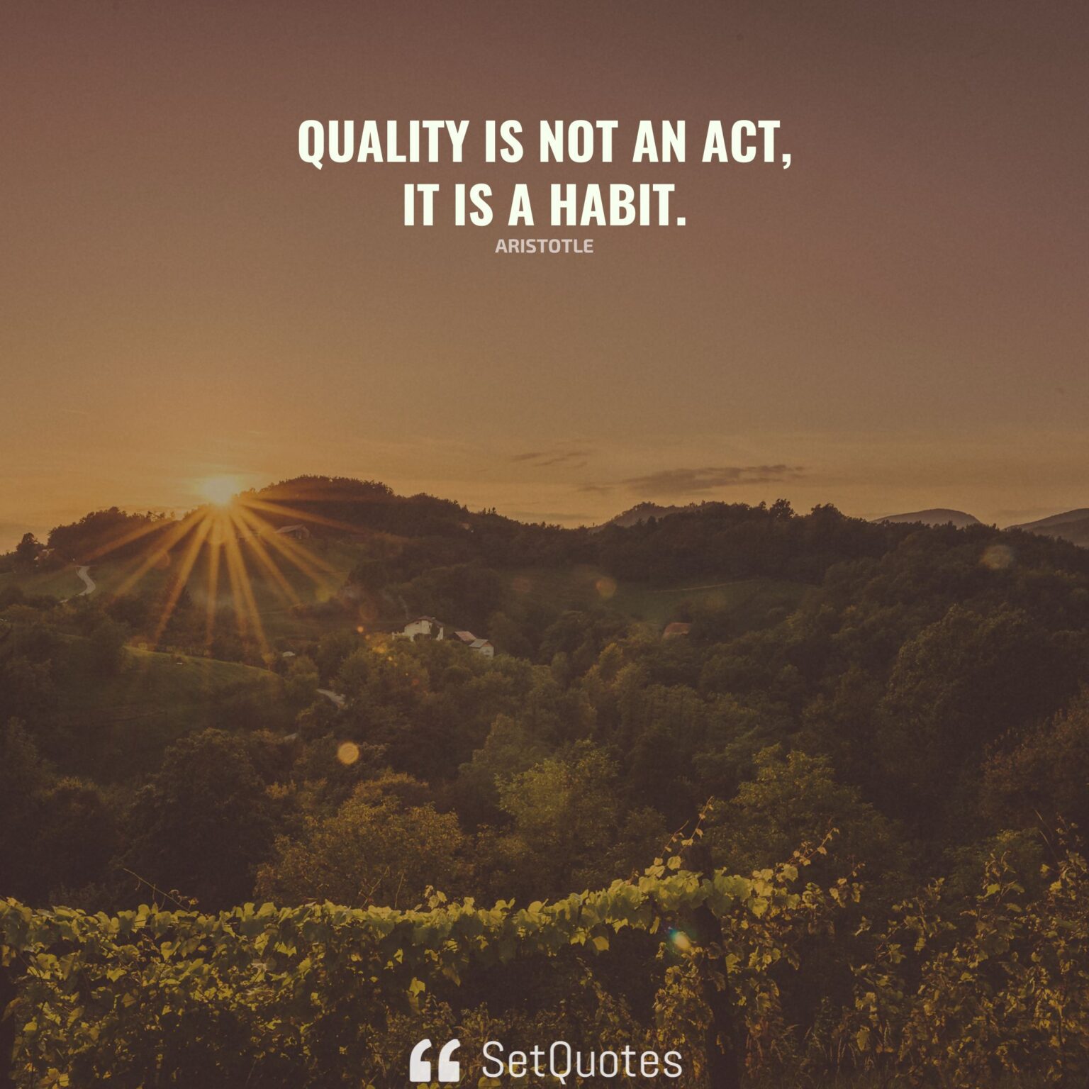 Quality is not an act, it is a habit.