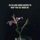 39 Falling Down Quotes to help you get back up.
