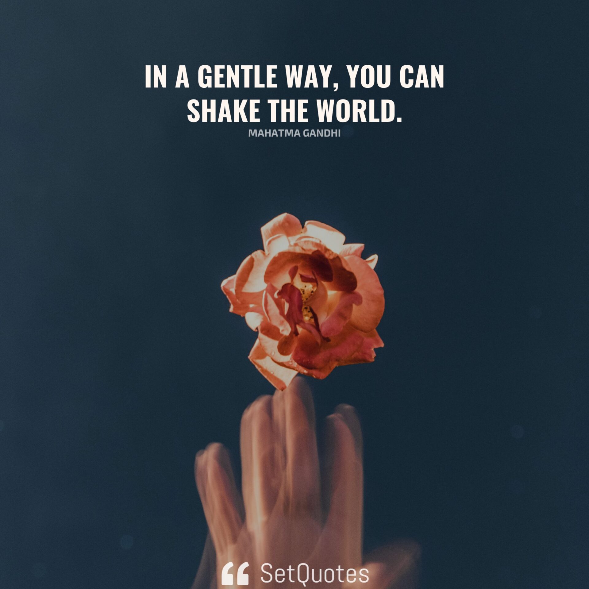 In a gentle way, you can shake the world.