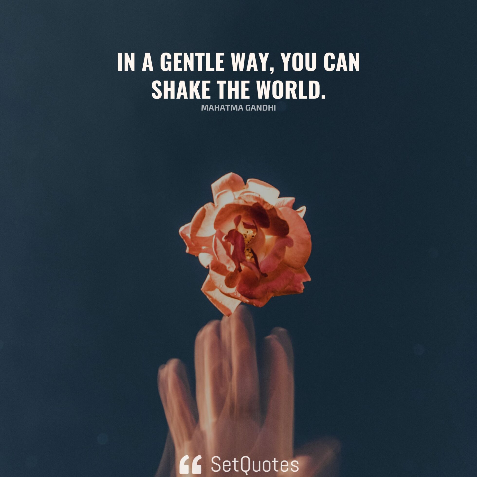In a gentle way, you can shake the world.